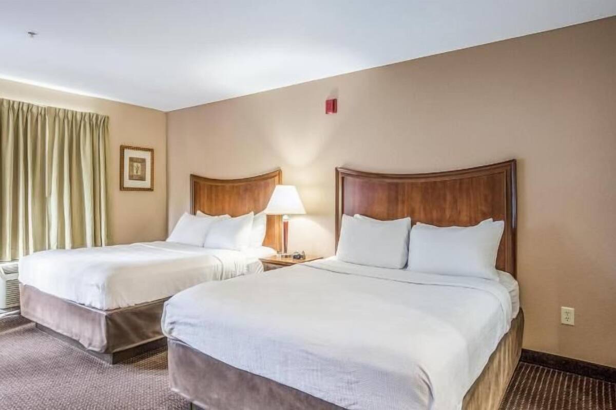 Quarto de hotel com duas camas, mesa de cabeceira com abajur, janela com cortinas e um quadro na parede.