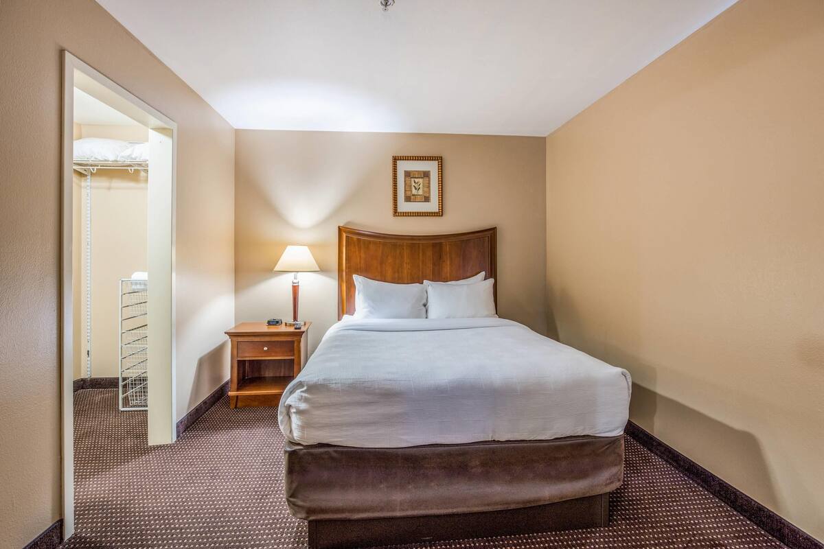 Quarto de hotel com cama, mesa de cabeceira, abajur, cabeceira de madeira, quadro na parede e um armário com cabides.