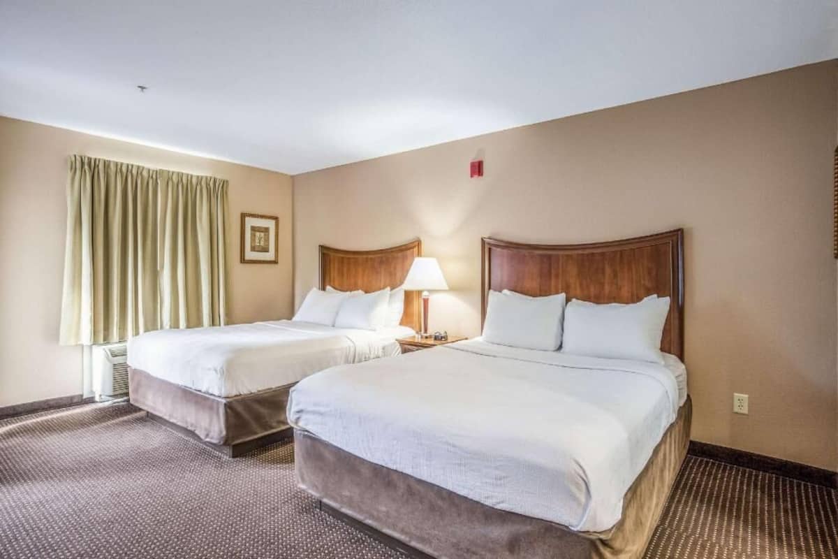 Quarto de hotel com duas camas, uma janela com cortinas, um abajur e um quadro na parede.