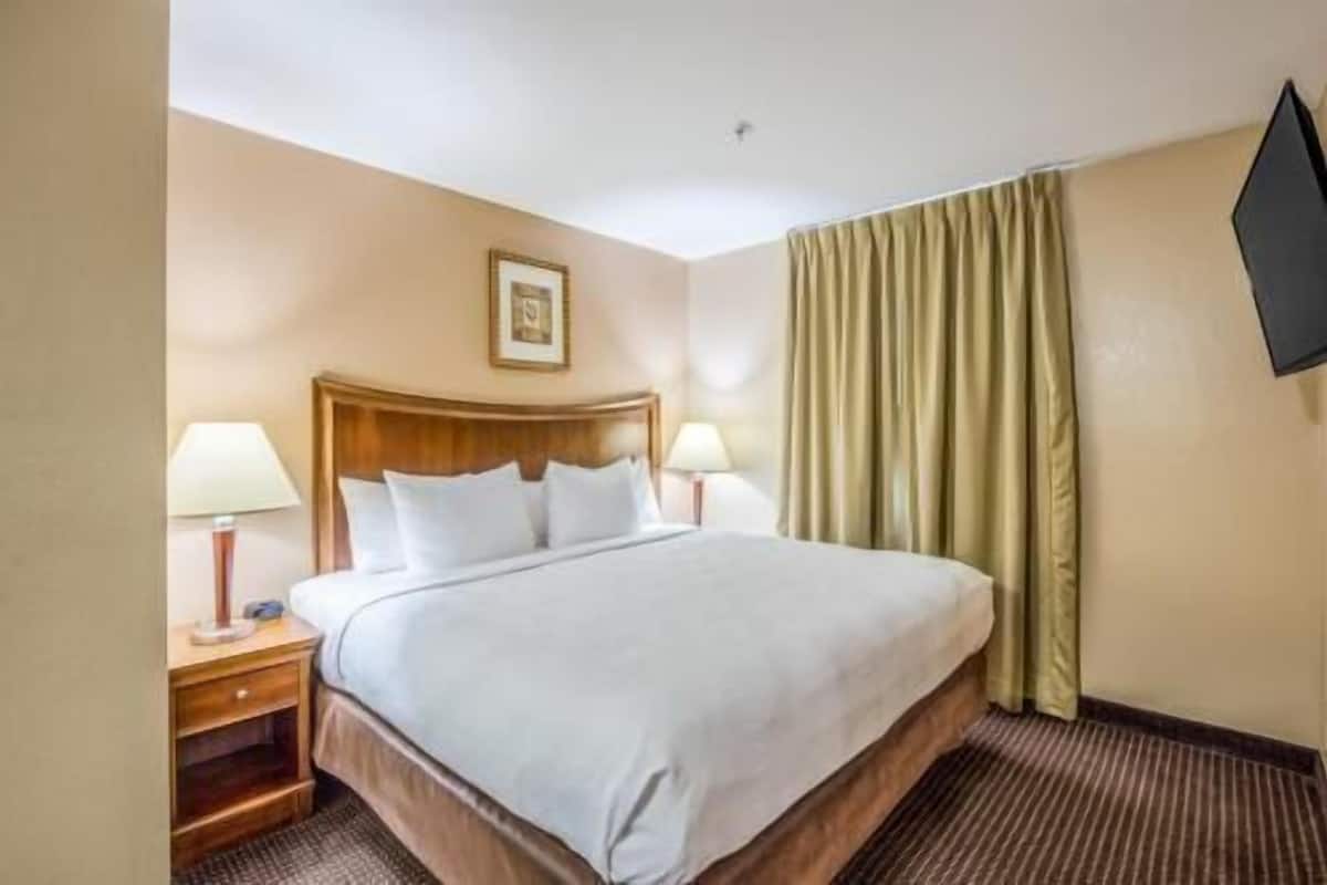 Quarto de hotel com cama, duas luminárias de cabeceira, mesa de cabeceira, quadro pendurado na parede e janela com cortinas.
