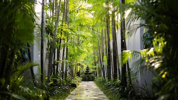 Jardim