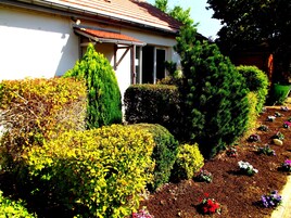 Um jardim bem cuidado com arbustos diversos e plantas floridas, uma casa com telhado de telhas e um céu limpo.