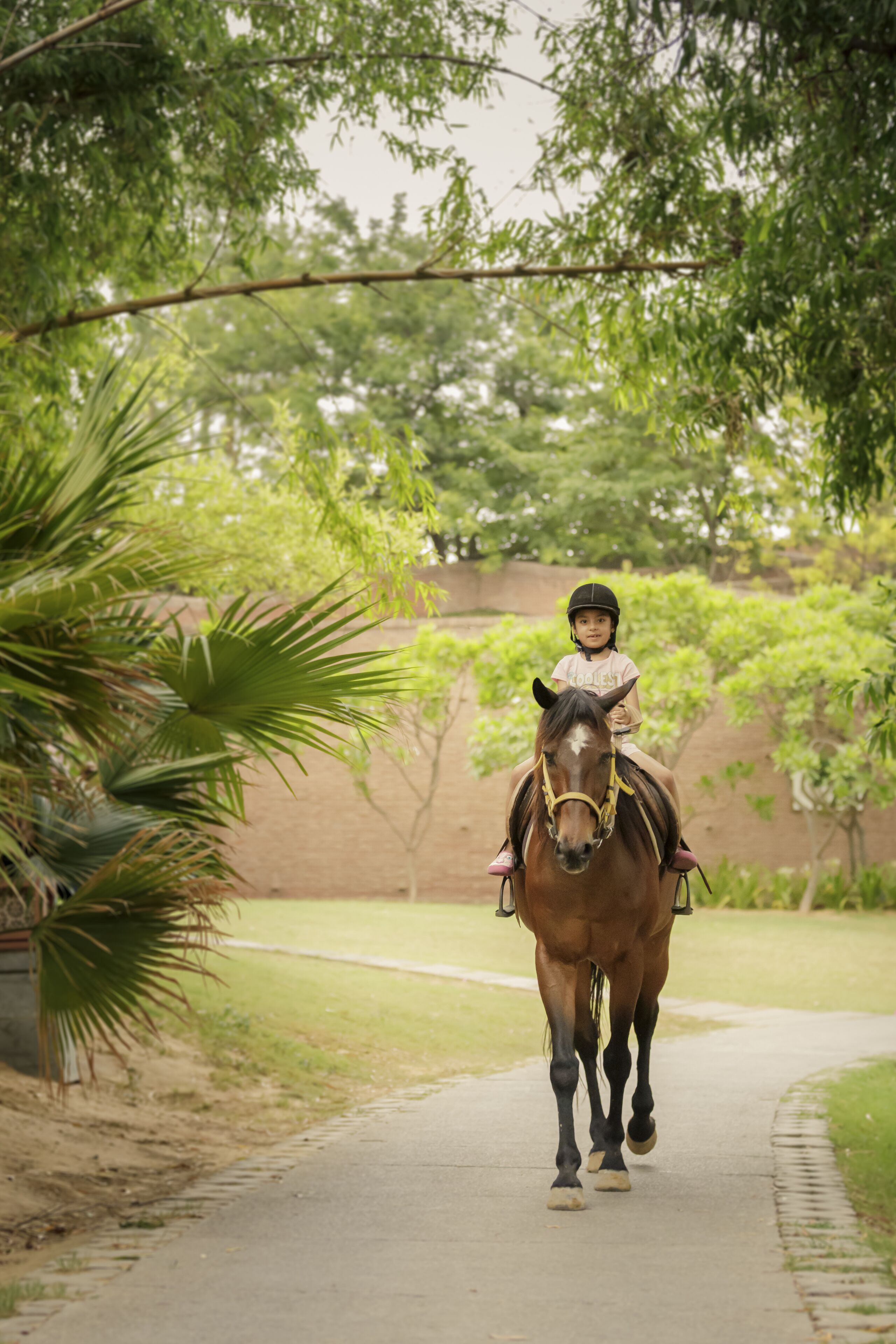 Um cavalo com cavaleiro seguindo por um caminho pavimentado, cercado por vegetação.