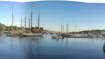 Passeios de barco