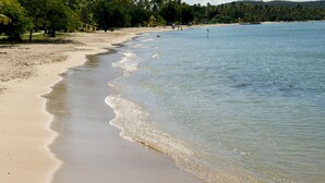 Uma praia com águas cristalinas, palmeiras e uma costa arenosa.