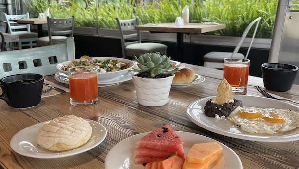 Mesa de café da manhã com pratos de comida, bebidas e vista para o verde lá fora.