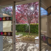Área de pátio com mobiliário de exterior e vista para uma árvore com folhas avermelhadas.