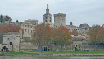 Um castelo histórico com várias torres e um fosso.