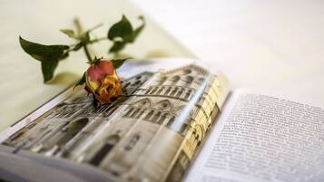 Um livro aberto com uma rosa em cima.