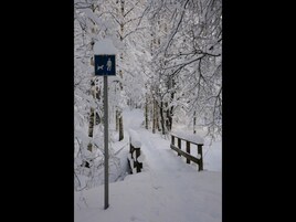 Terrenos do alojamento