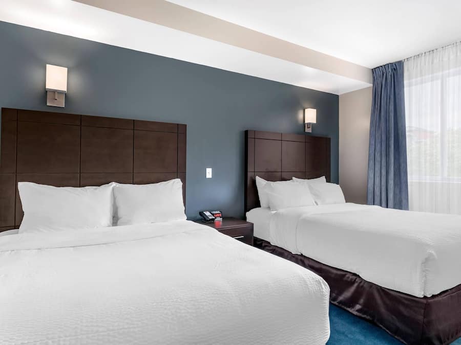 Quarto Deluxe, 2 camas queen-size, não fumadores | Roupa de alta qualidade, edredões de penas