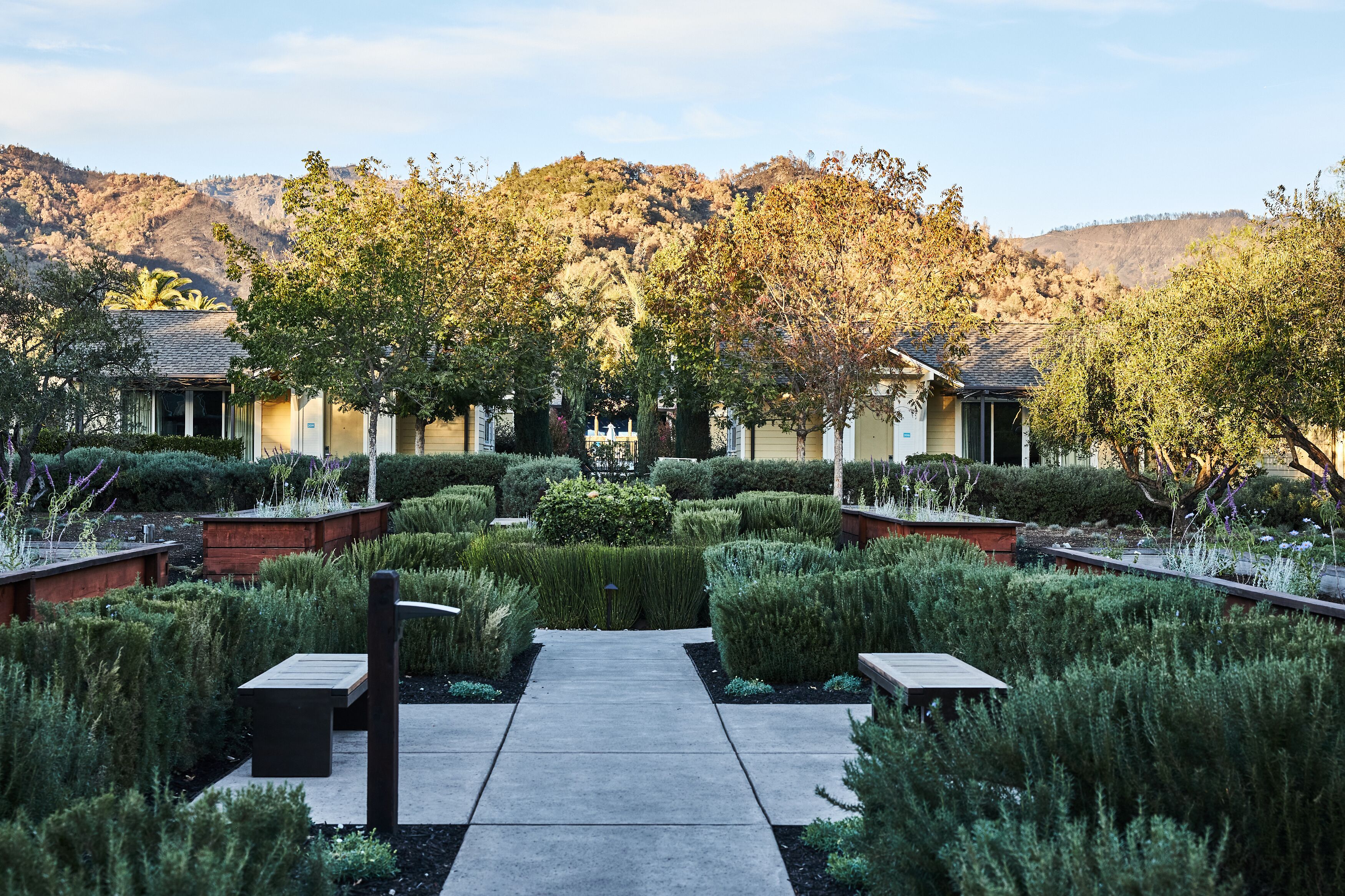 Solage, Auberge Resorts Collection Reviews, Deals & Photos 2024 - Expedia