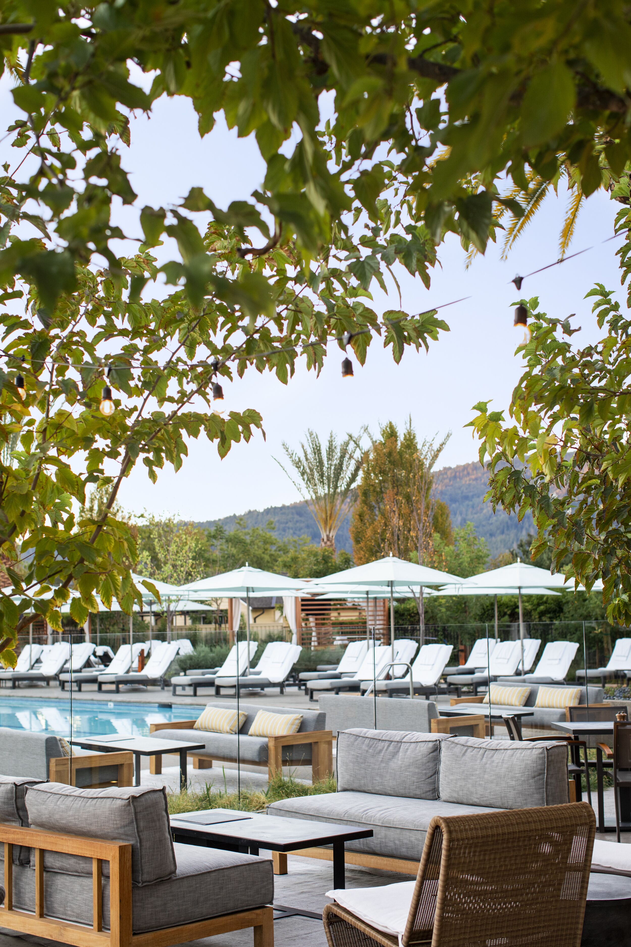 Solage, Auberge Resorts Collection Reviews, Deals & Photos 2024 - Expedia