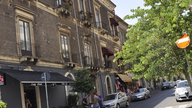 Vista da rua com um edifício com várias janelas, varandas com plantas e uma faixa de pedestres.