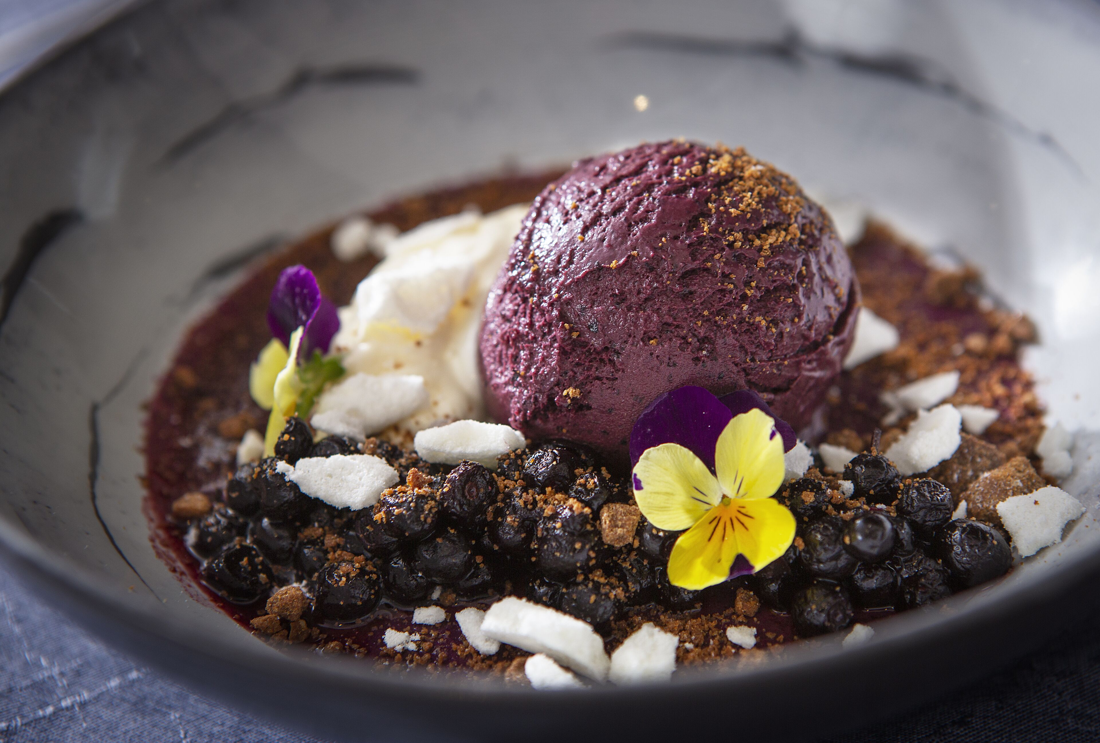 Sobremesa com uma bola de sorvete e frutas vermelhas em um prato.