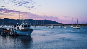 Uma marina com vários barcos atracados, incluindo um barco de destaque chamado 'Whale Watch', e um cenário montanhoso ao fundo.