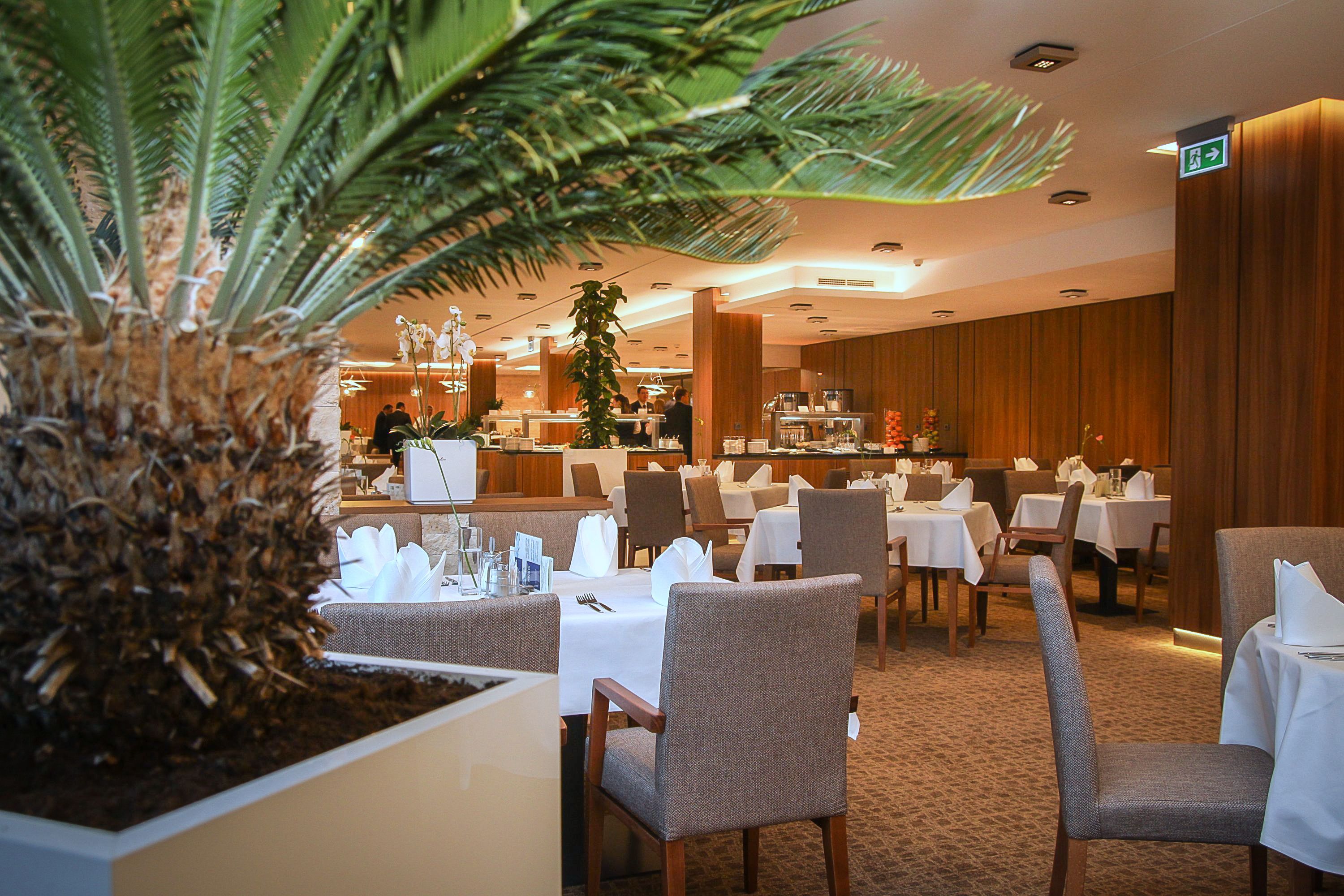 Um restaurante com várias mesas e cadeiras, uma grande planta em vaso e um bar ao fundo.