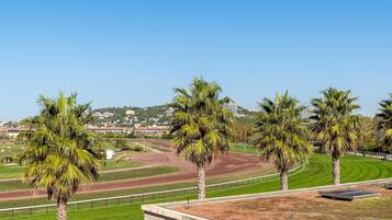 Visão de uma pista de corrida com palmeiras e uma cidade ao longe.