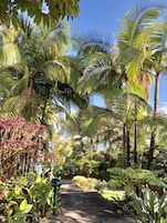 Jardim