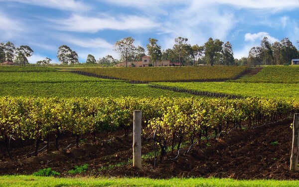 Estate Tuscany - Cessnock