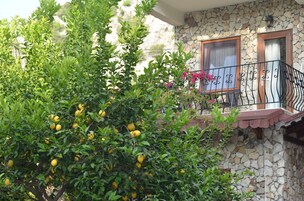 Pormenores do exterior