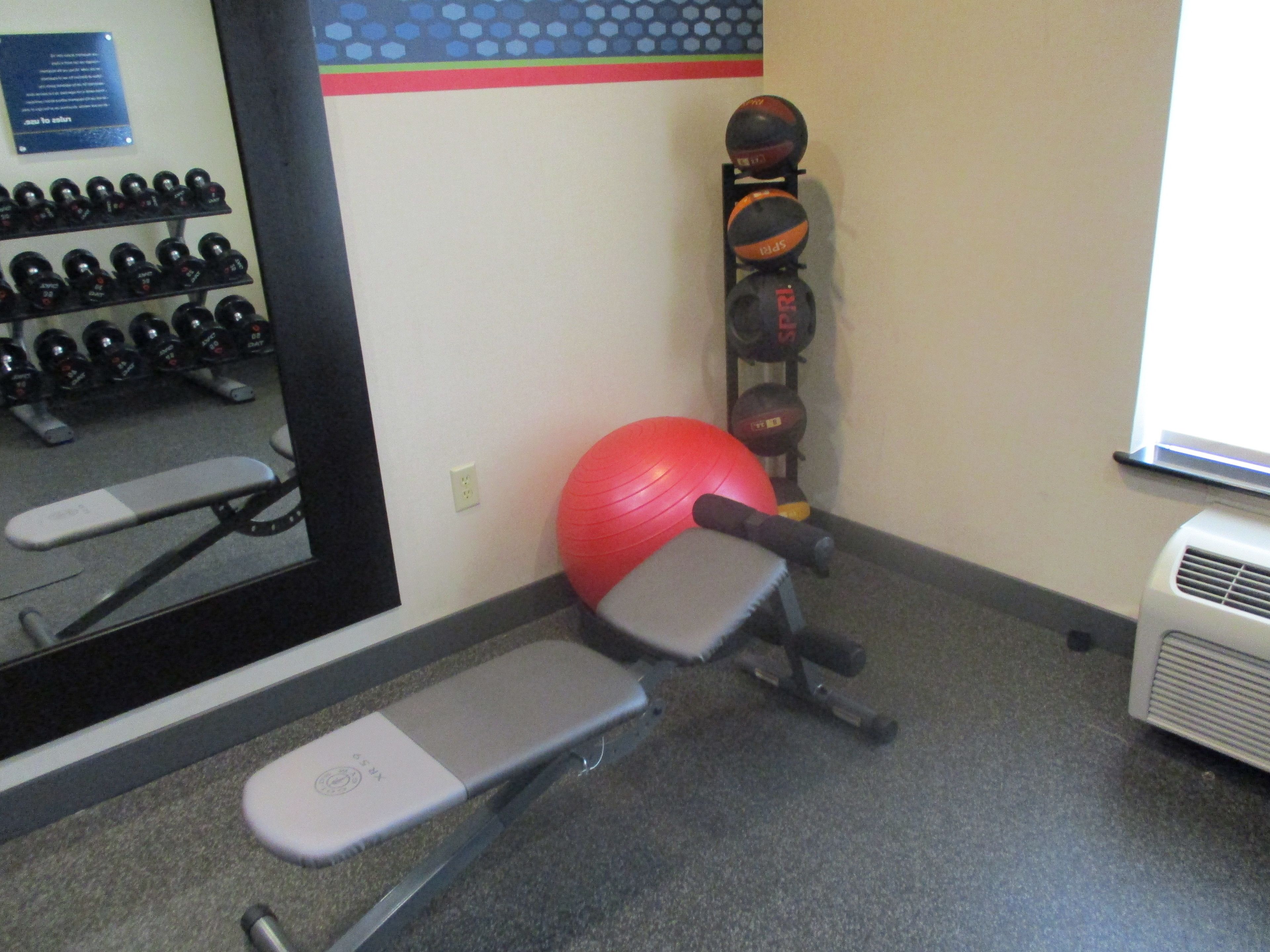 Academia com equipamentos de ginástica, incluindo halteres, uma bola de exercício vermelha e um banco.