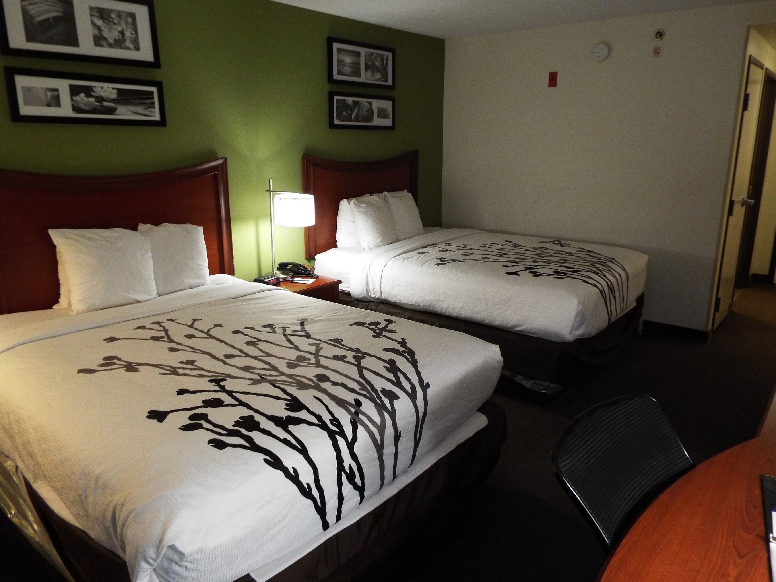 Quarto de hotel com duas camas, uma mesa de cabeceira, abajur e quadros nas paredes.