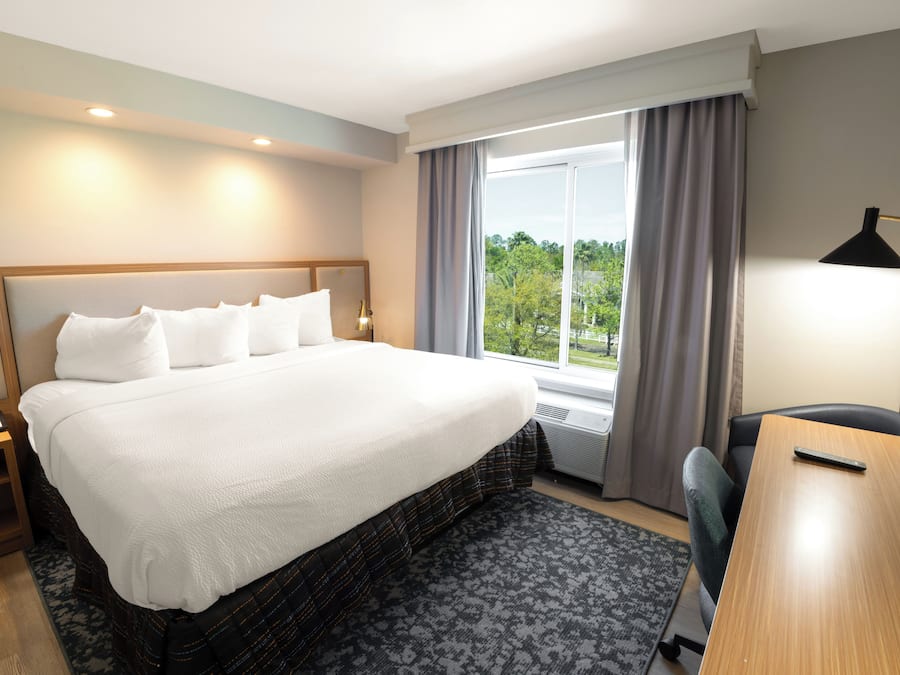 Quarto de hotel com uma cama grande, uma mesa, uma cadeira, uma mesinha de cabeceira, um abajur e vista para o verde pela janela.
