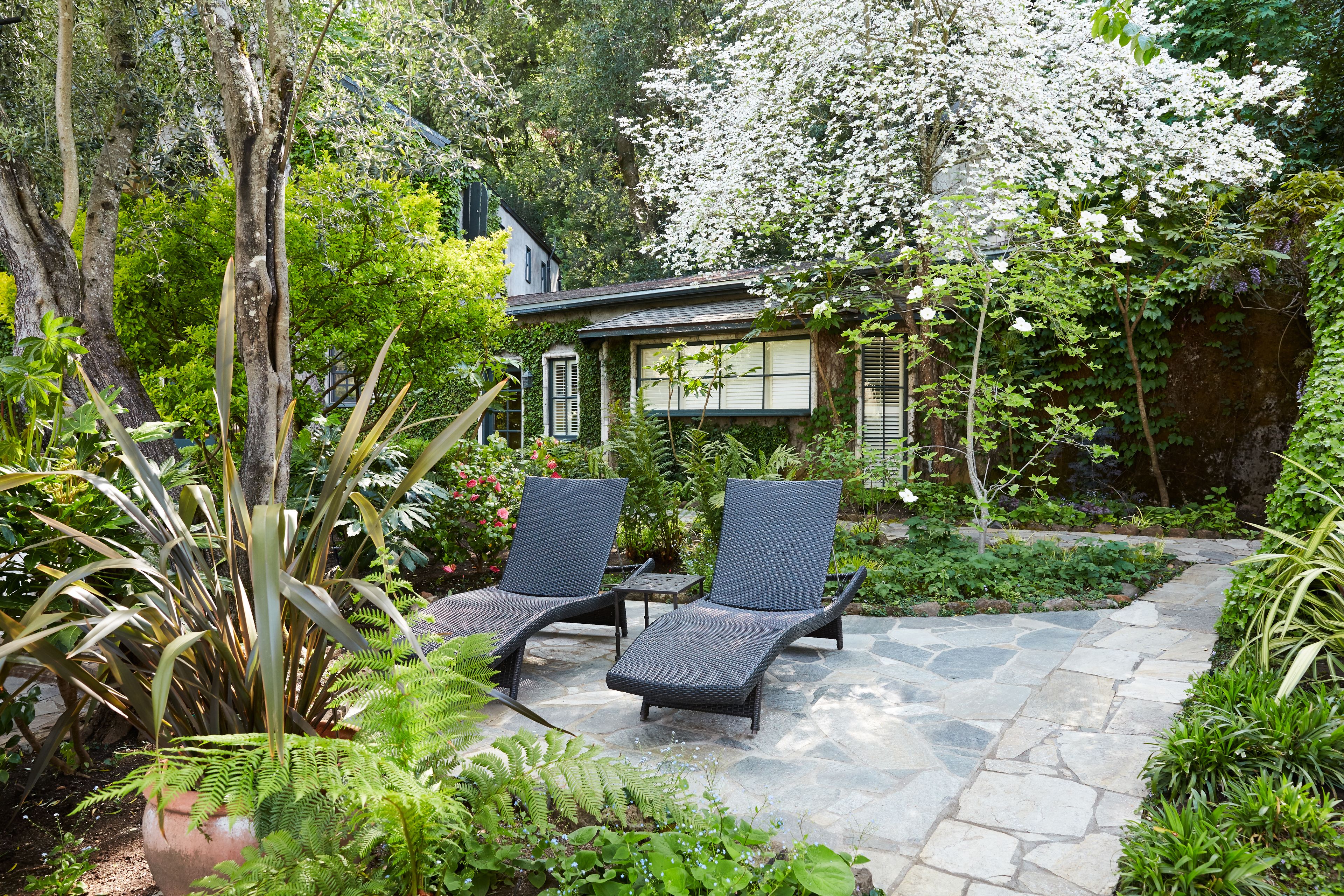 Um jardim com duas espreguiçadeiras, um caminho de pedra e vegetação exuberante.
