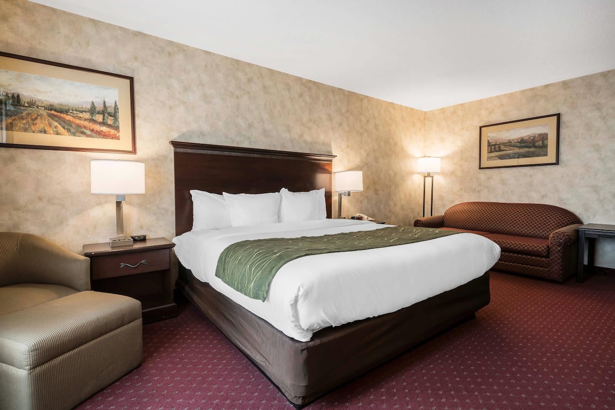 Quarto de hotel com uma cama grande, duas mesas de cabeceira com luminárias, uma poltrona marrom, uma mesinha e duas molduras com quadros nas paredes.