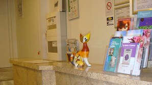 Uma mesa de recepção com uma estatueta de gato, um mural de avisos e uma pilha de revistas.