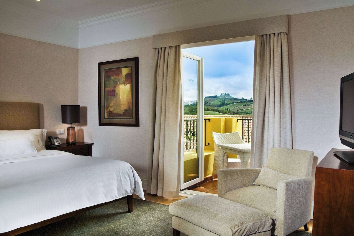 Quarto de hotel com cama, uma cadeira, escrivaninha com televisão, quadro na parede e varanda com vista para o campo.