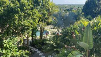 Um jardim exuberante com piscina, rodeado por folhagem densa e palmeiras.