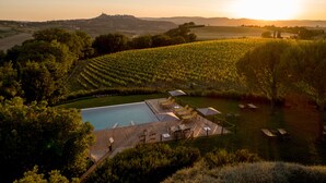 Uma área de piscina com espreguiçadeiras e guarda-sóis, rodeada por vegetação exuberante e campos.