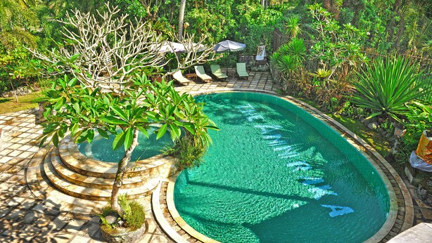 Piscina com deck de pedra, rodeada por vegetação exuberante e árvores que oferecem sombra.