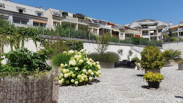 Jardim