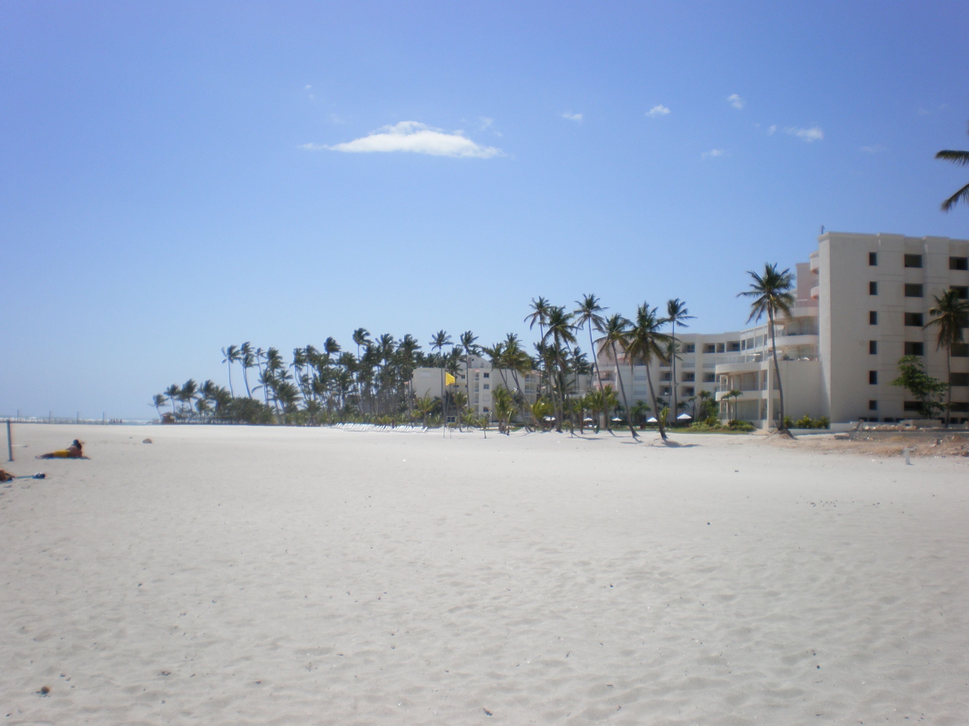 Uma praia com palmeiras e um hotel ao fundo.