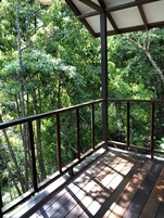 Um deck de madeira com guarda-corpo de metal, cercado por folhagem verde densa.