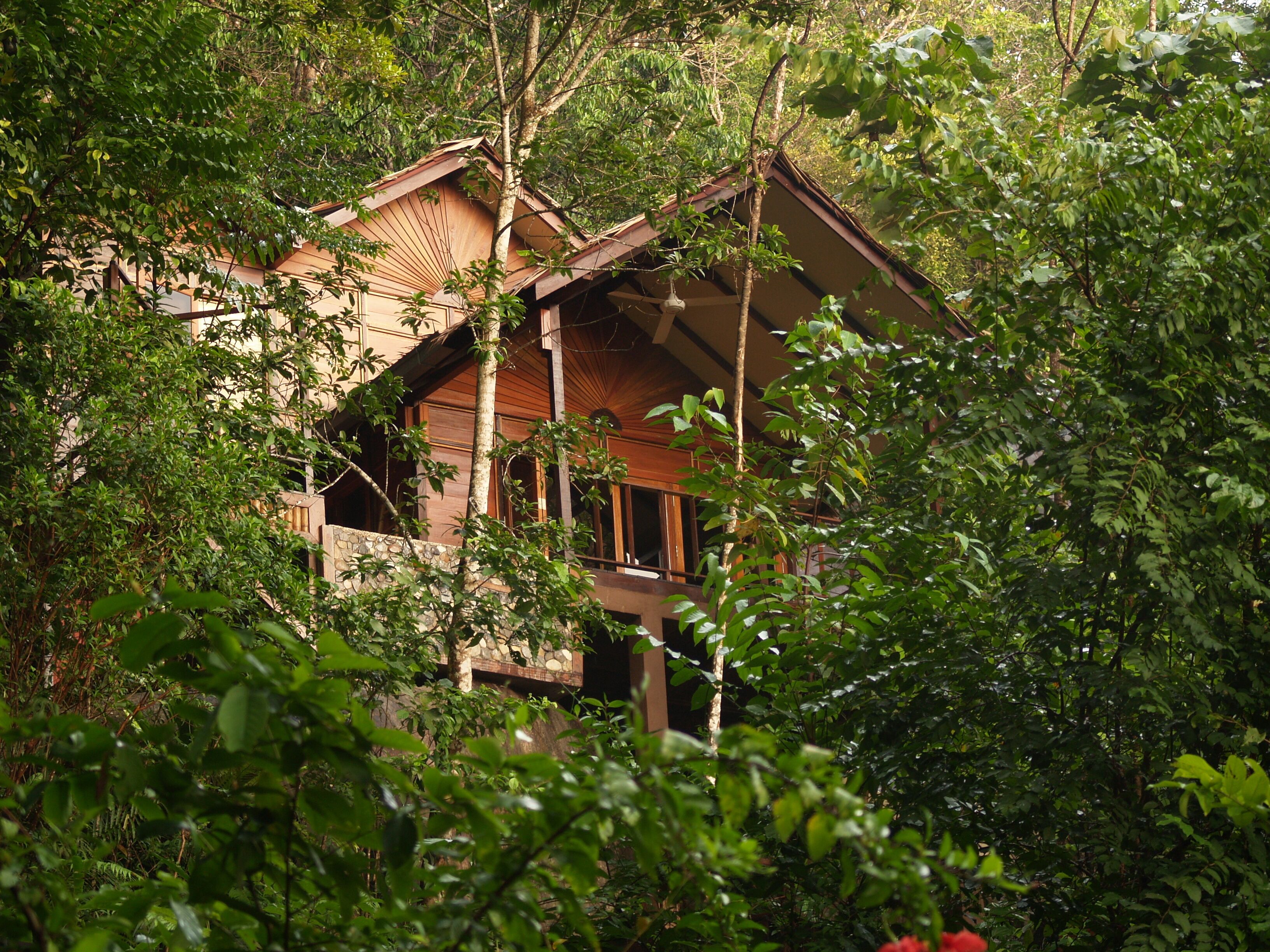 Uma cabana de madeira rodeada por vegetação densa.