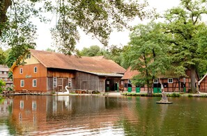 Passeios de barco