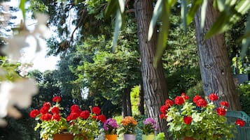 Jardim