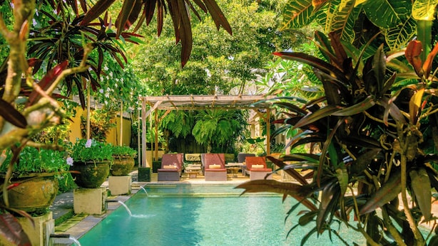 Área de piscina com espreguiçadeiras, plantas em vasos e um pergolado.