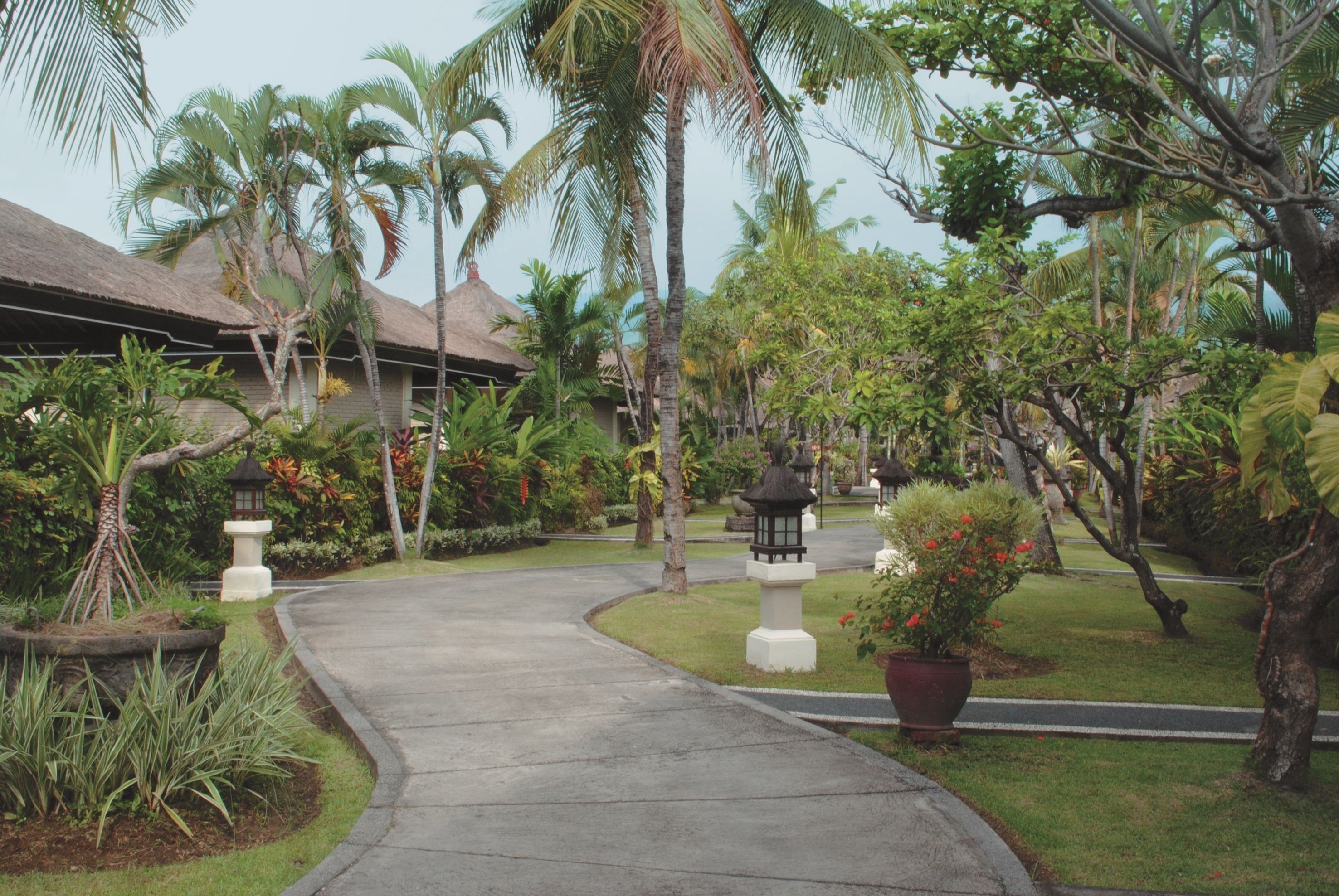 Jardim