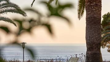 Vista da praia com uma palmeira, uma cadeira e um lampião.