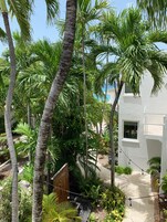 Jardim tropical com palmeiras e um edifício branco com janela.