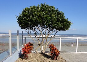 Na praia, barracas de praia (sobretaxa) 