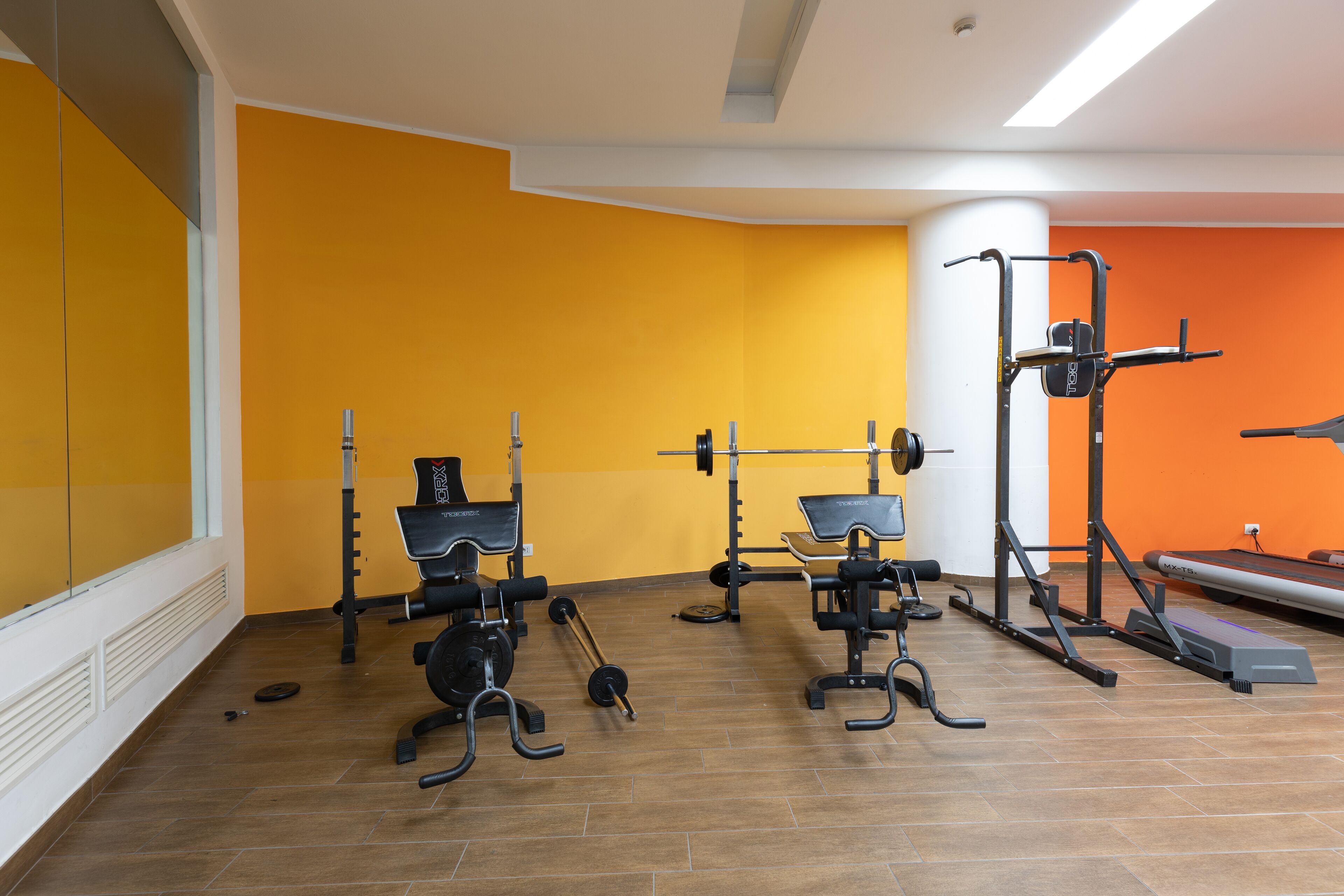 Uma academia com diversos equipamentos de exercício, incluindo uma barra de supino, um suporte para agachamento e uma esteira.