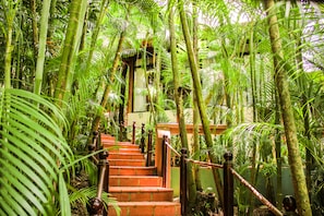 Uma escadaria rodeada por vegetação exuberante, que leva a um edifício com arquitetura tradicional.