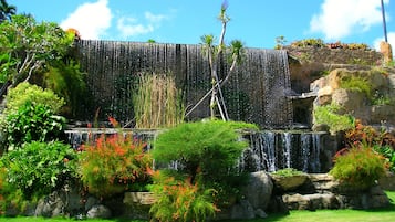Jardim