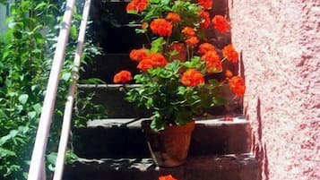 Detalhe da fachada